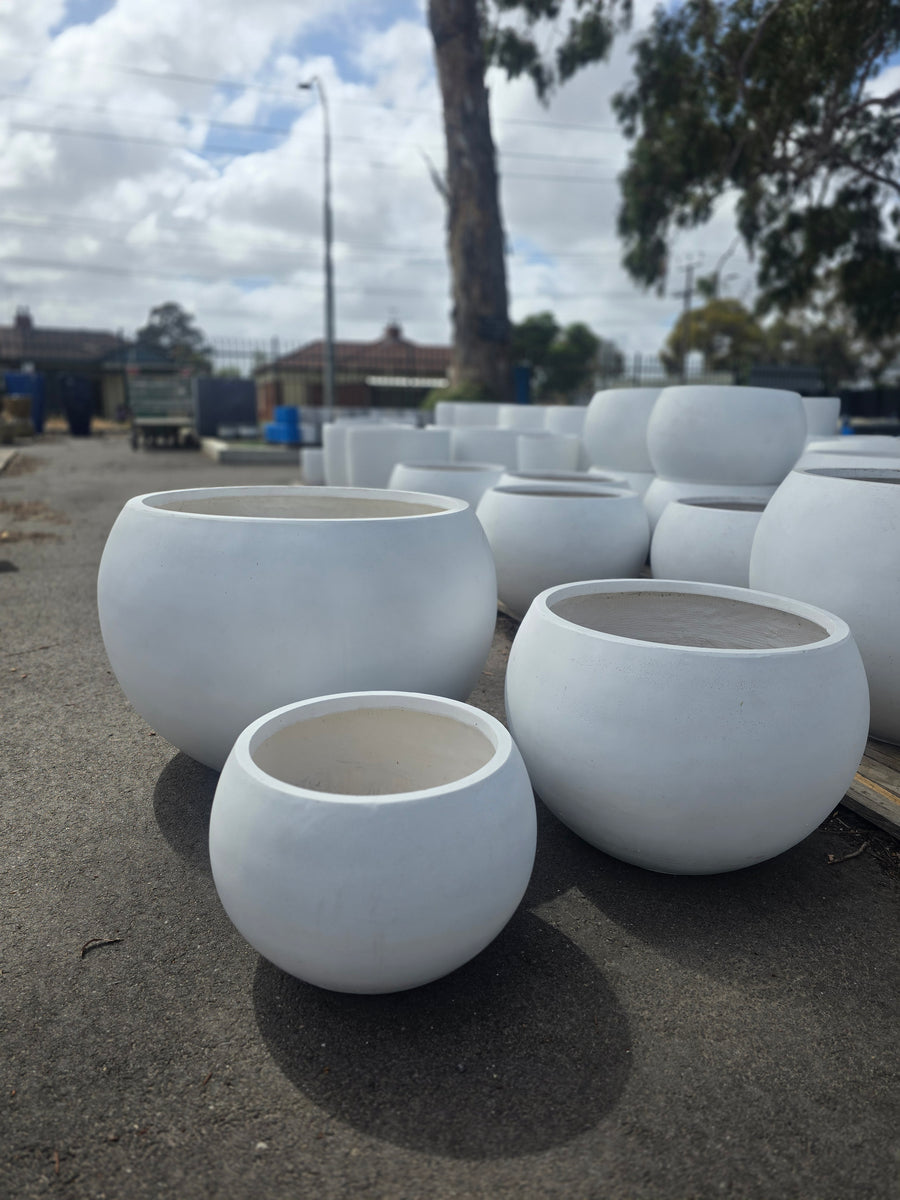 Fiberstone Pots – Tagged "Fiberstone pots" – Bottle Tree Cafe Garden and Aquarium