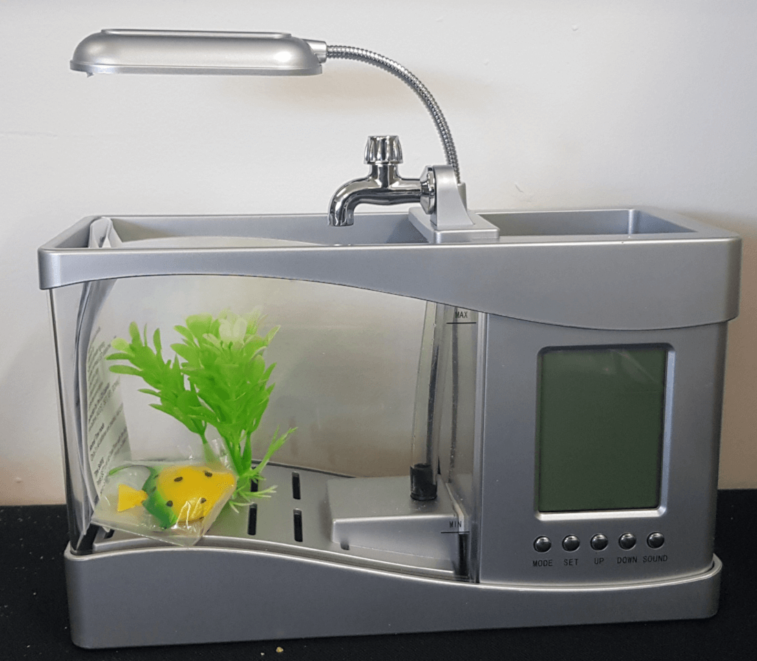 Pet Fish Desk Top Fish Tank | Pet Fish | Aquariums – Bottle Tree Cafe ...